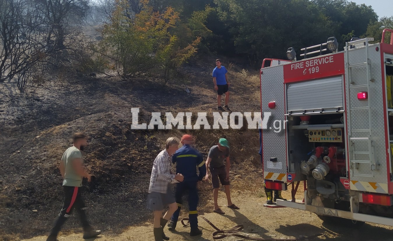 Οριοθετήθηκε η φωτιά στη Φθιώτιδα - Χτύπησαν καμπάνες - Lawandorder.gr